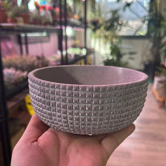 6 Inch Pots – Zen Botanicals & Gift Shop